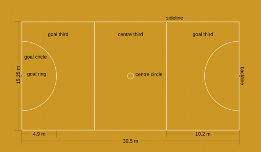 Netball Positions and Their Roles: A Comprehensive Guide [2025]